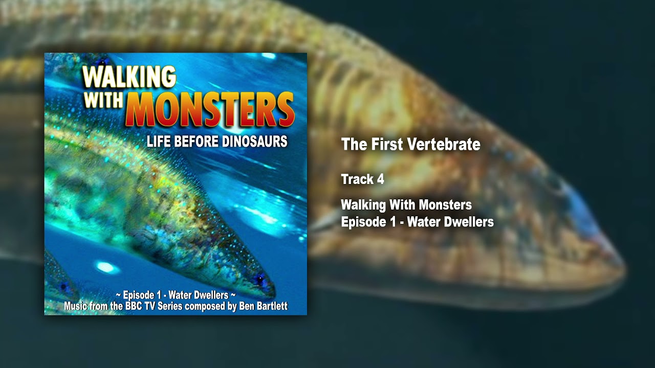 4. The First Vertebrate - YouTube