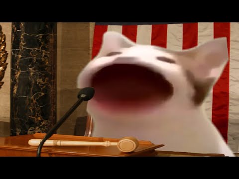 pop cat | Pop Cat | Know Your Meme