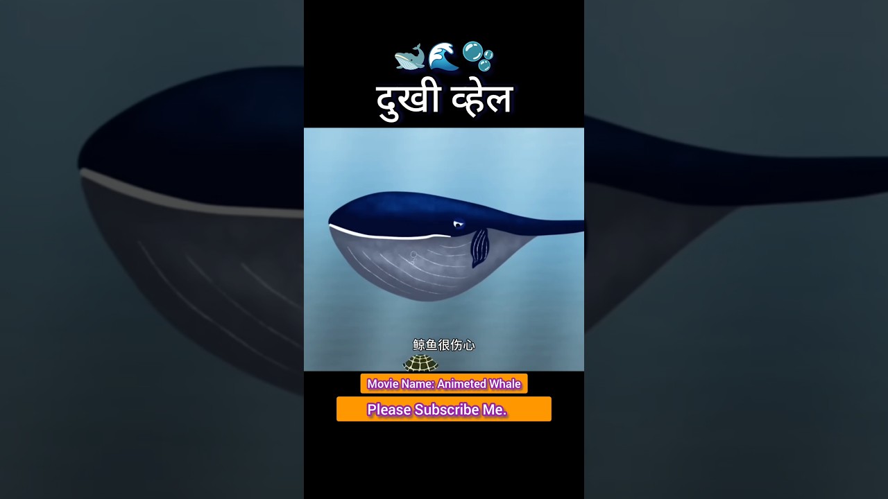 Sad W #animated #shorts @FactB07 - YouTube