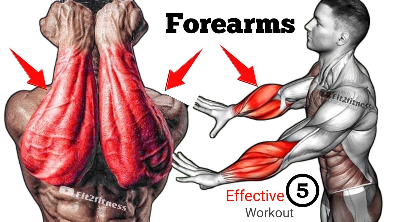 Top 5 Exercise to Bigger Increase Forearms Size - YouTube