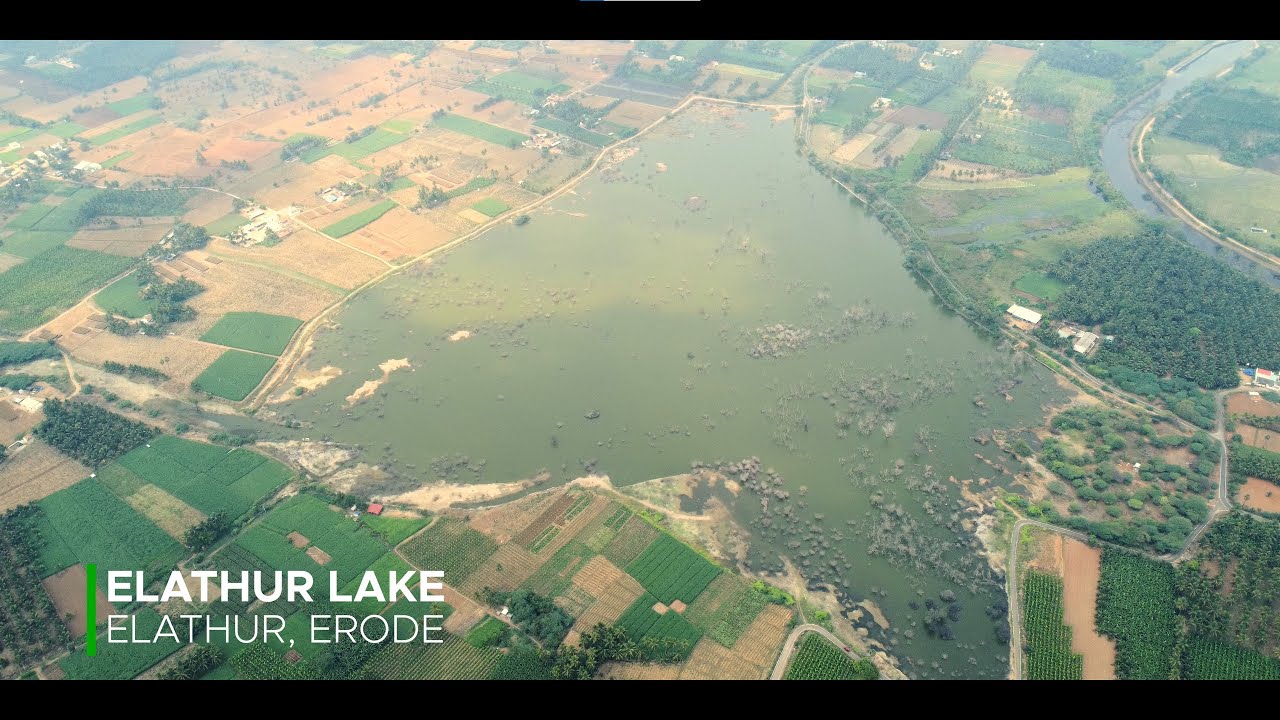 Elathur Lake | Biodiversity Heritage Site - YouTube