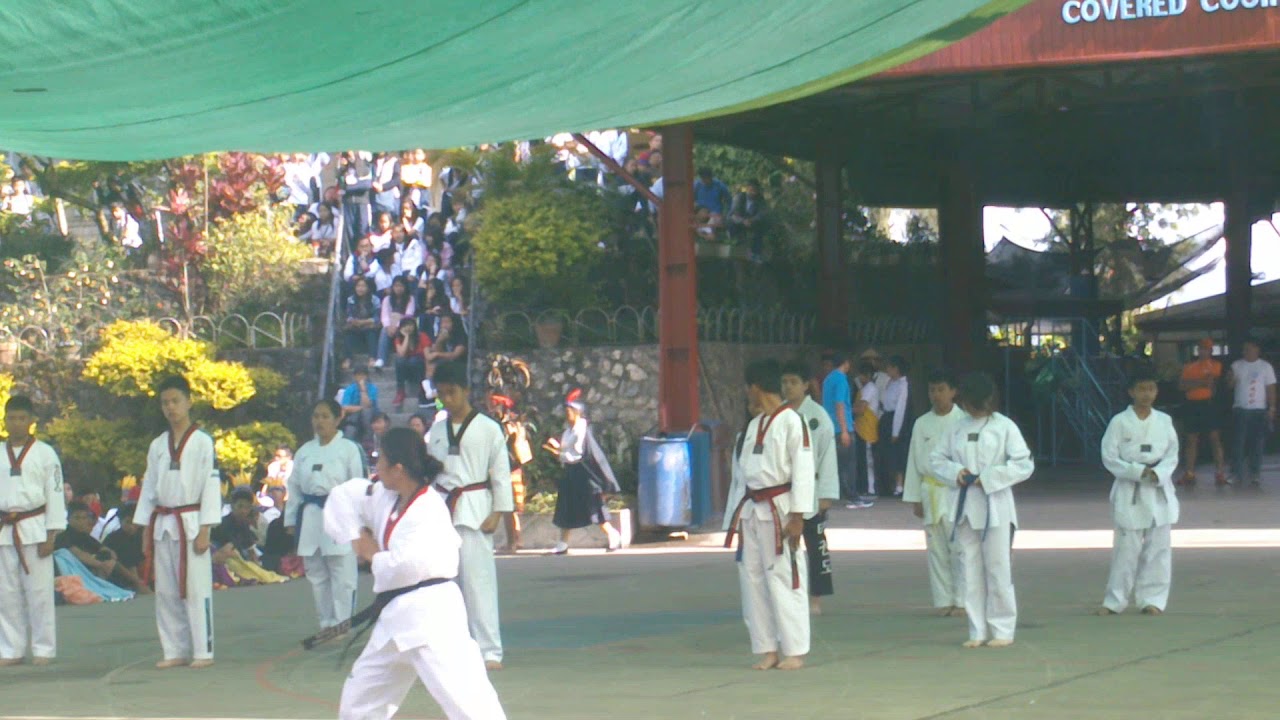 field demo - YouTube