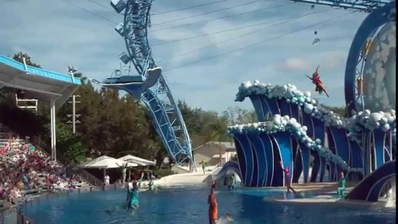 Sea World Orlando Dolphin Show Acrobat Divers - YouTube