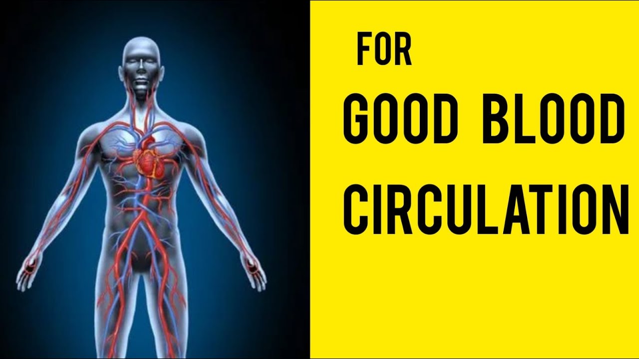 TAI CHI Flow | Good Blood Circulation | Raj Fit Arts - YouTube