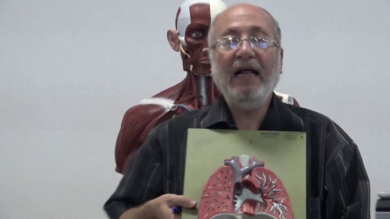 Spotting mediastinum by dr. Wahdan . - YouTube