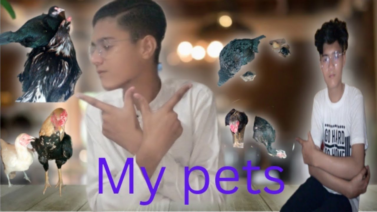 AJ me nay sab pets khol diya in house - YouTube