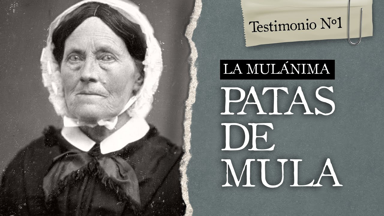 LA MULÁNIMA - Patas de Mula (Testimonio Nº001) - YouTube