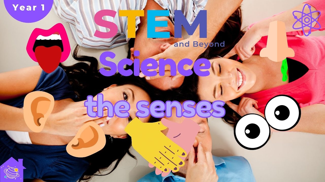 Senses | KS1 Year 1 Science | Home Learning - YouTube