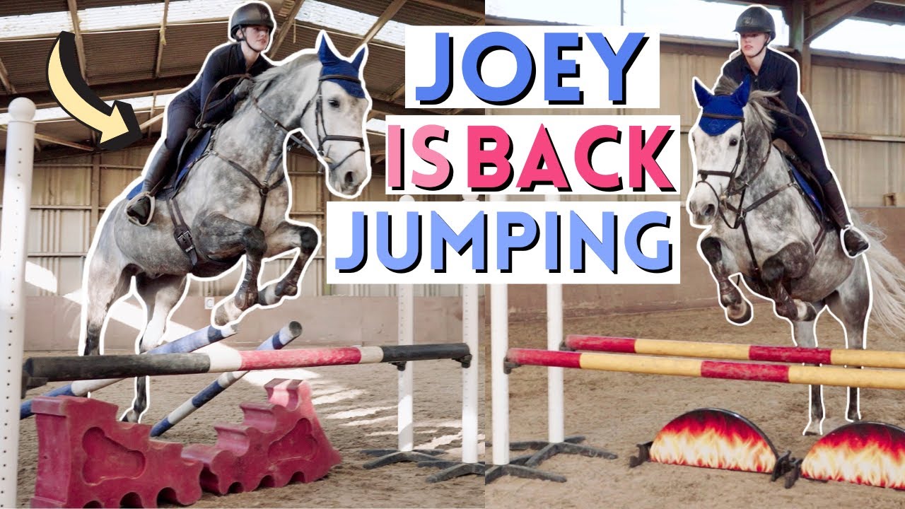 Joey is BACK Jumping again after his Injury! This Esme - YouTube