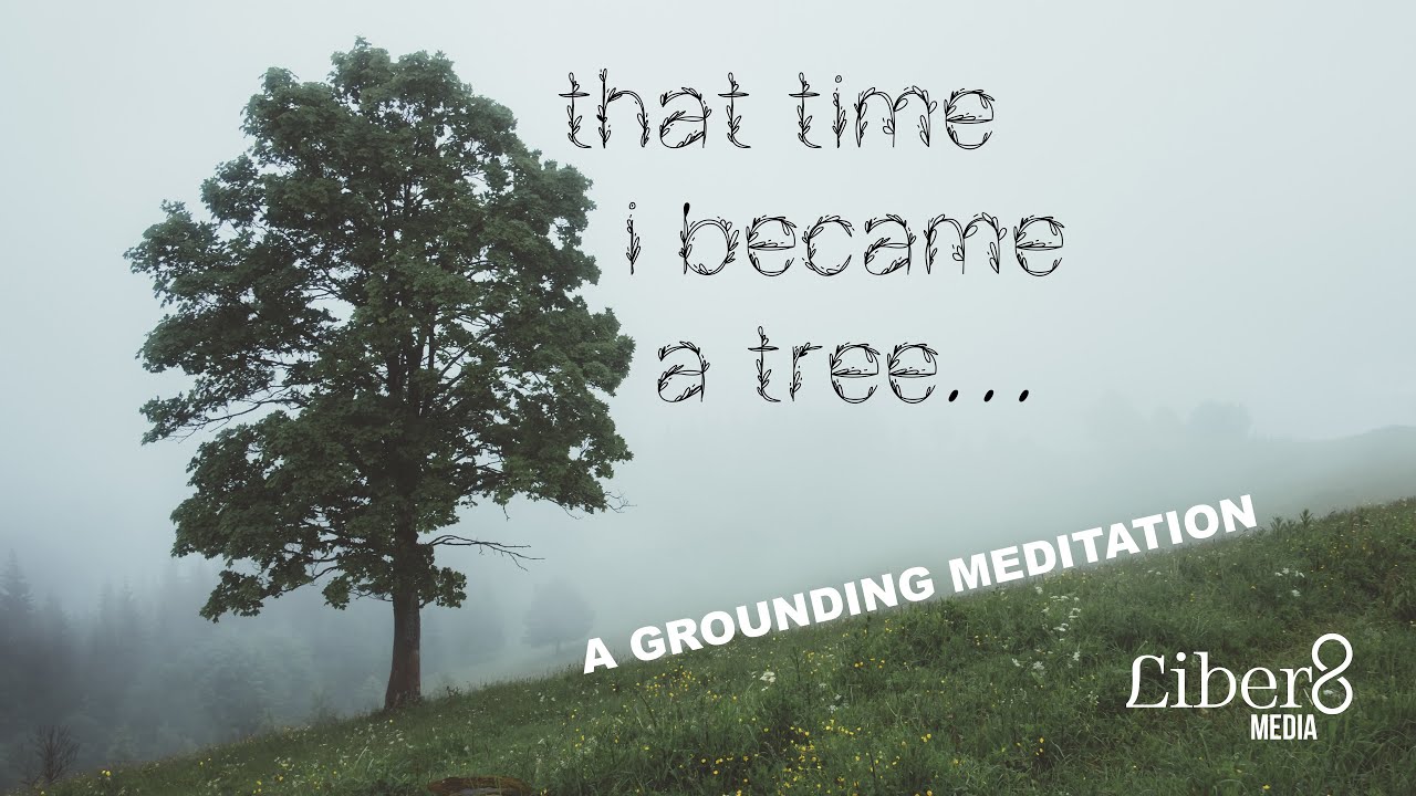 "That Time I Became A Tree" A Grounding Meditation - Liber8Media - YouTube