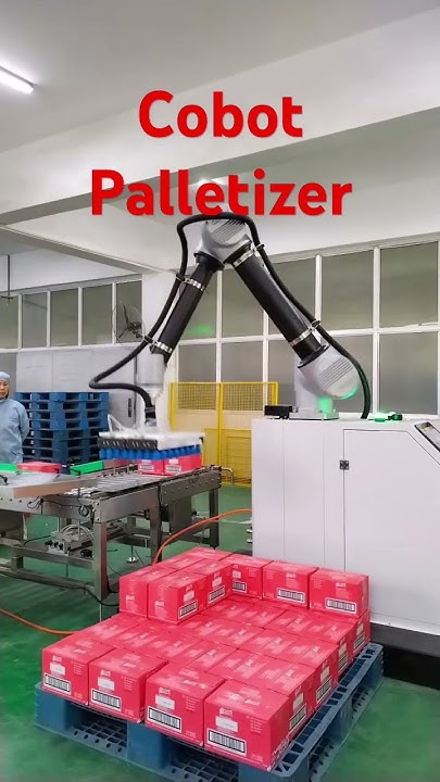 Cobot Palletizer Palletizing 4 Cartons at a Time #Cobot Palletizer - YouTube