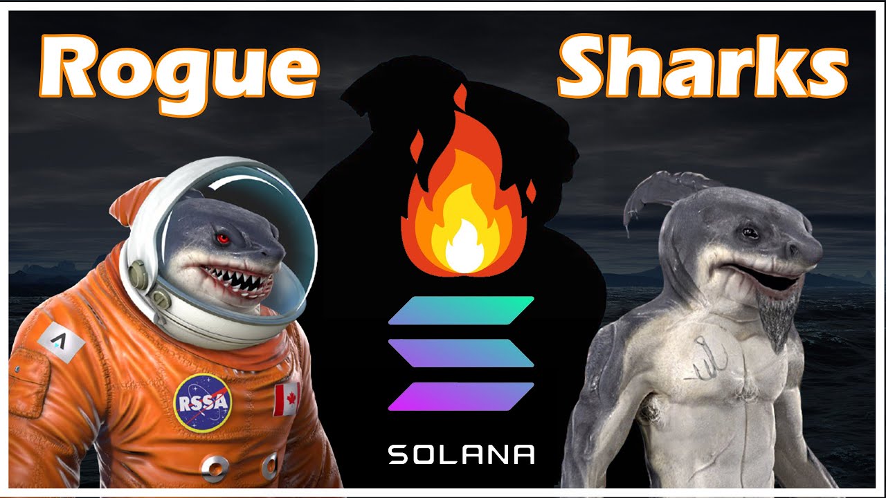 Rogue Sharks NFT Launch Detayları 🦈 - YouTube