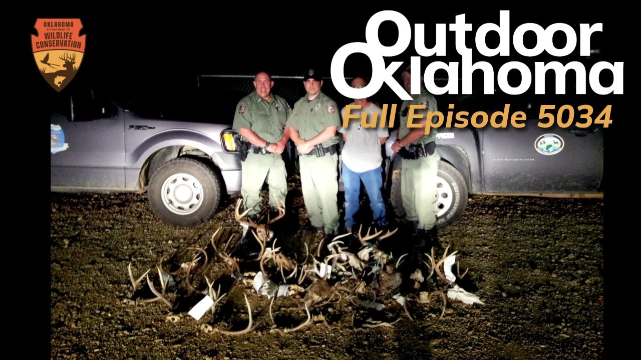 50,000 Photos Expose Poachers + What It Takes To Be A Warden + Night ...