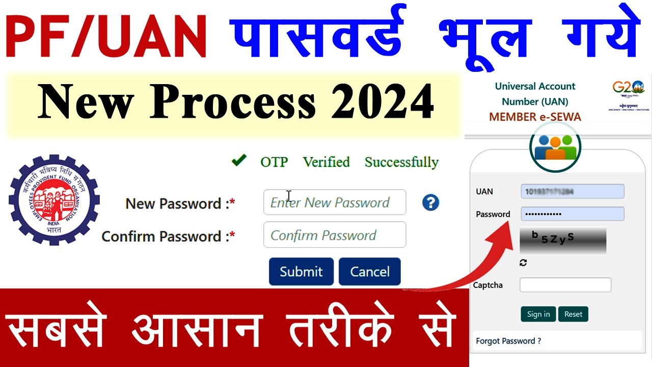 PF UAN password forgot 2024 | PF Password Change Process 2024 | EPF ...