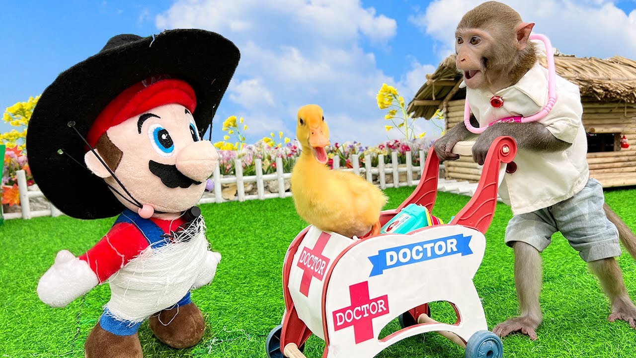 Baby Monkey Bim Bim becomes a doctor who rides an ambulance to rescue ...
