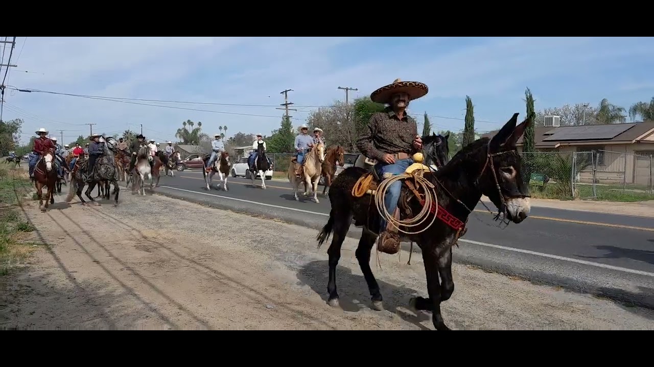 2023 Springville Jackass Mailrun - YouTube