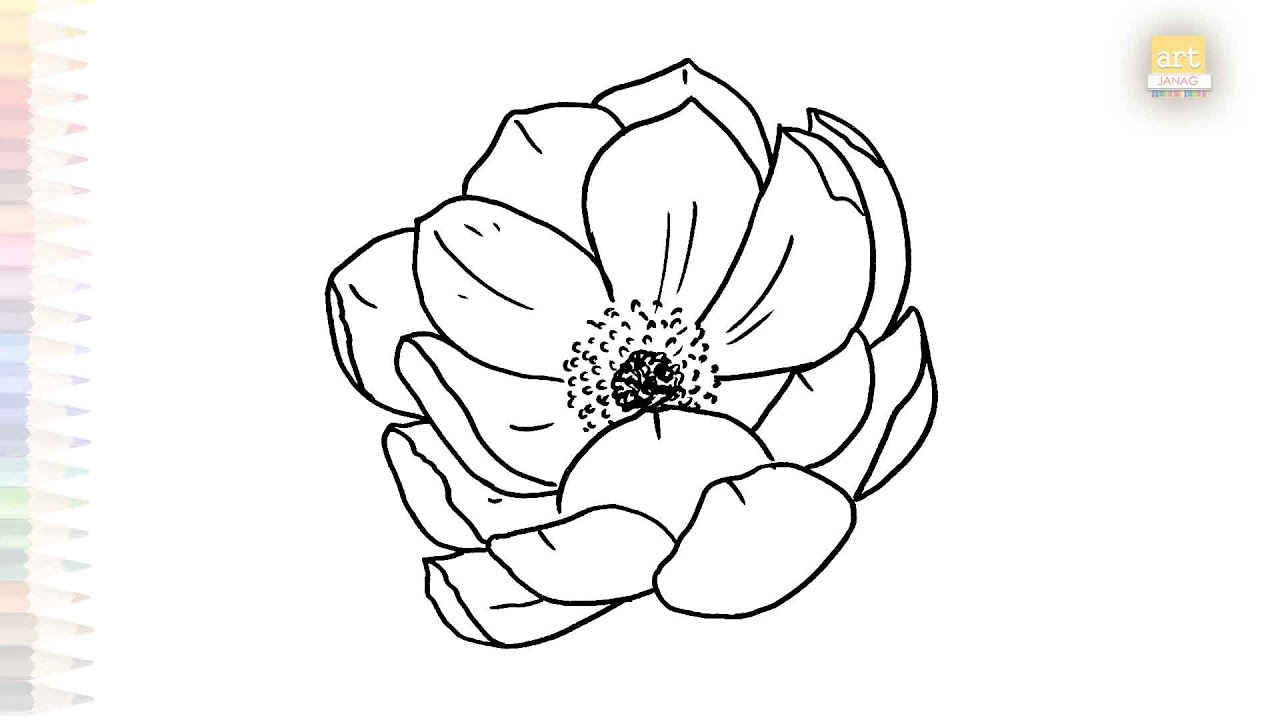 Peony flower drawing easy | Art tutorial | How to draw A Peony flower ...