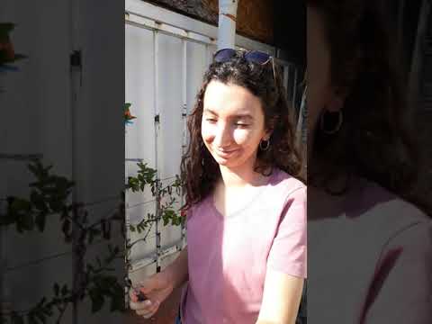 Hala teras eylül 2019