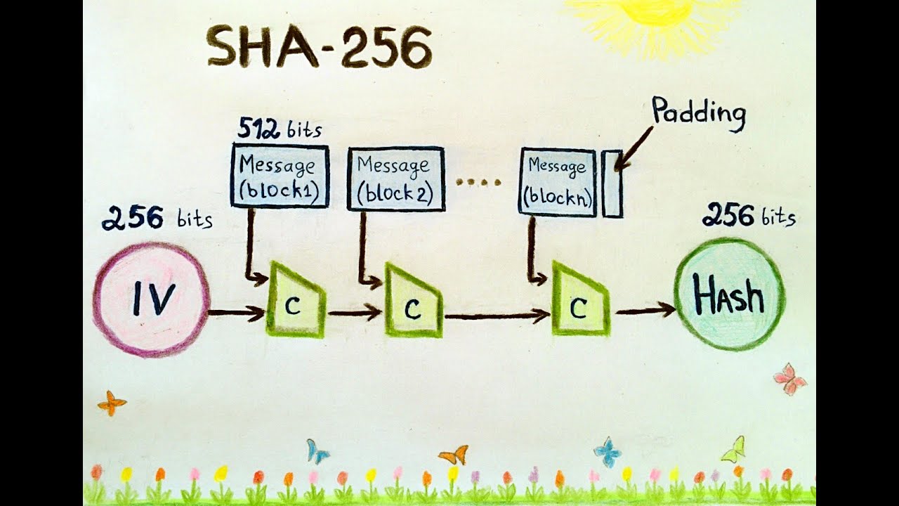 Hash functions, SHA-256 and Bitcoin Ecosystem - YouTube