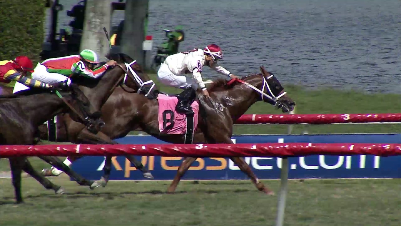 Gulfstream Park Replay Show | April 13, 2017 - YouTube