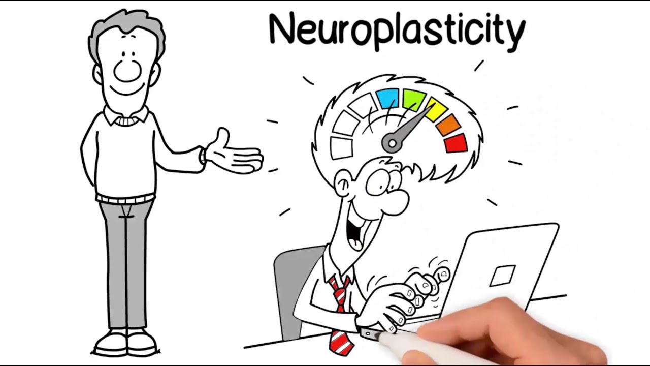 What is Neuroplasticity? - YouTube