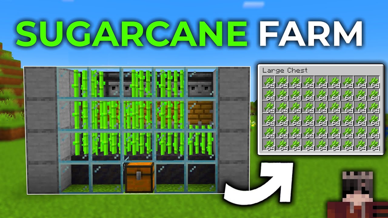 Minecraft: 1.20 Super Easy Sugar Cane Farm Tutorial - YouTube