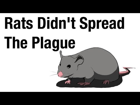8 Animal Lies You Were Tricked Into Believing - YouTube