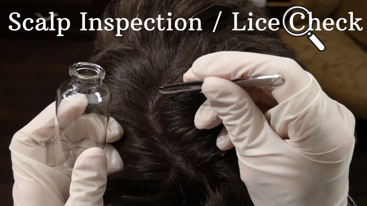 Real Person ASMR Scalp Inspection and Lice Check, Inaudible Speaking ...