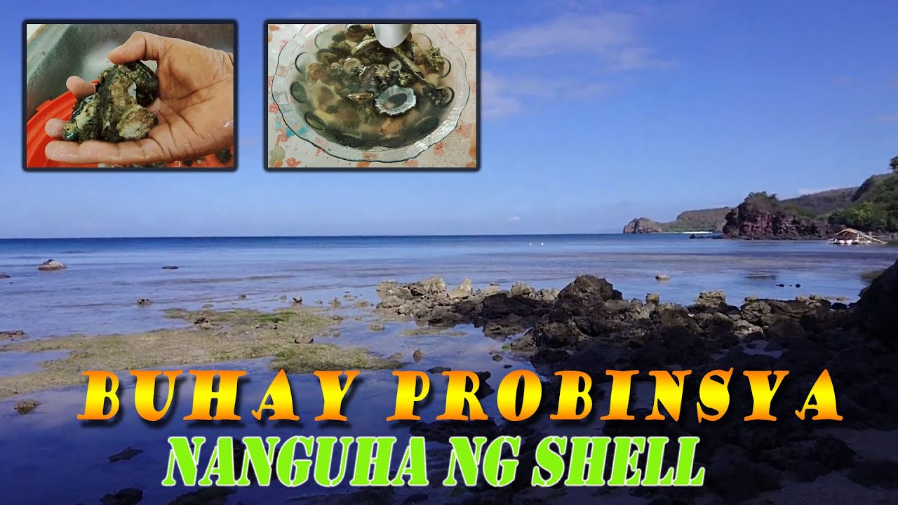 Buhay Probinsya Nanguha ng Shell Dahil sa Sobrang Lakas ng Amihan ...