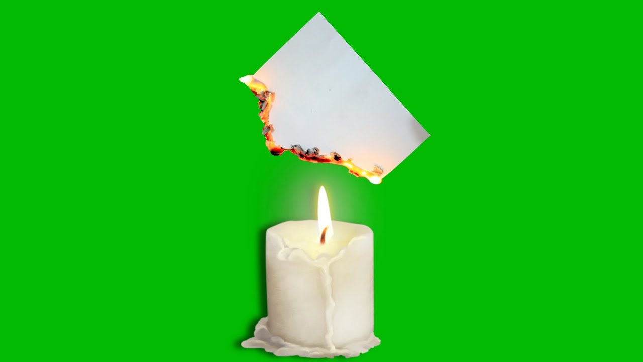 Amazing Paper Tricks || Science Experiment with Paper - YouTube