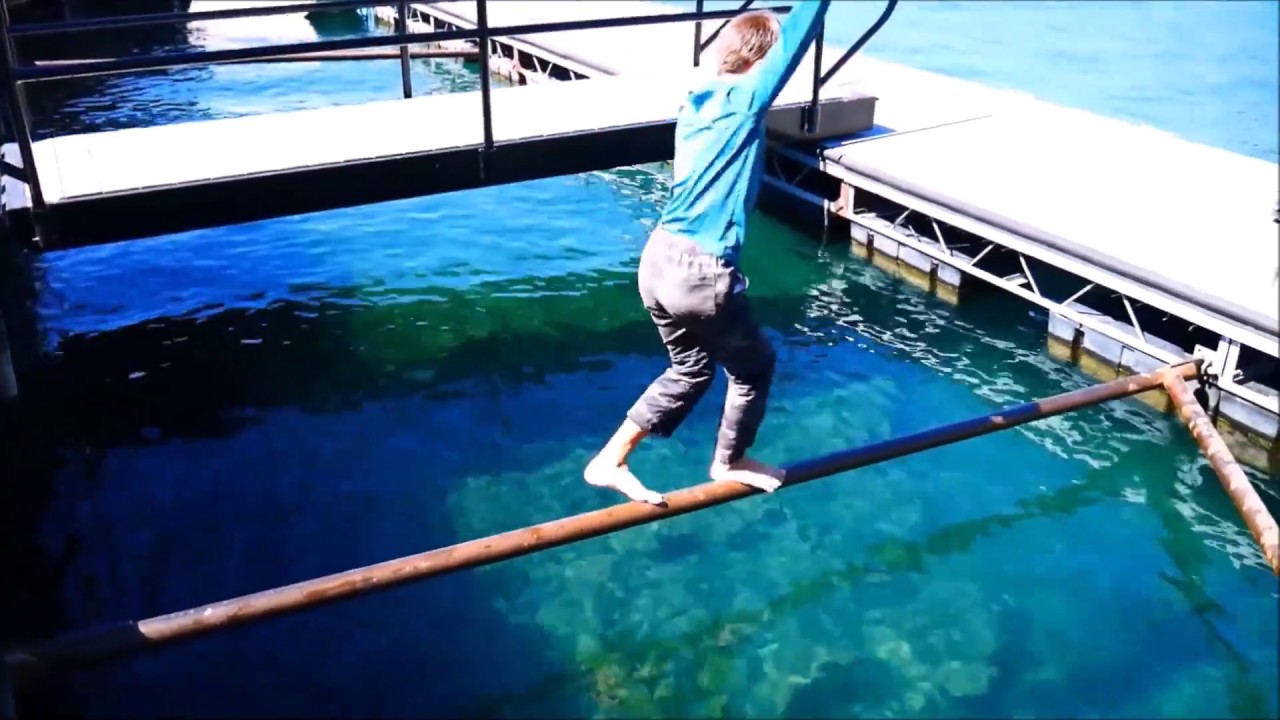 This is funny! Maxwell has "fallen in the water" at Lake Tahoe ...