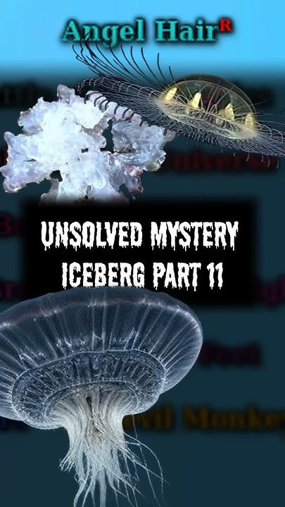 Unsolved Mystery Iceberg Part 11 - Angel Hair #shorts - YouTube