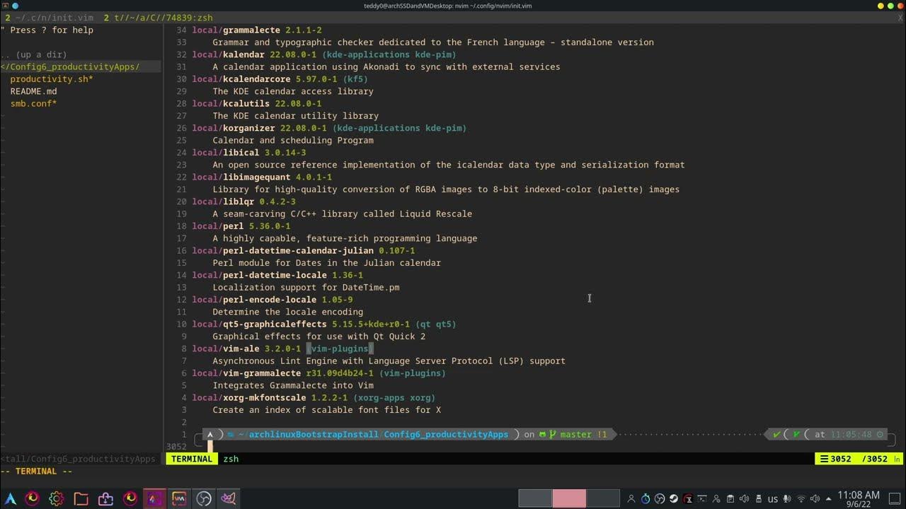 neovim on windows 4 - vim lsp with ALE - YouTube