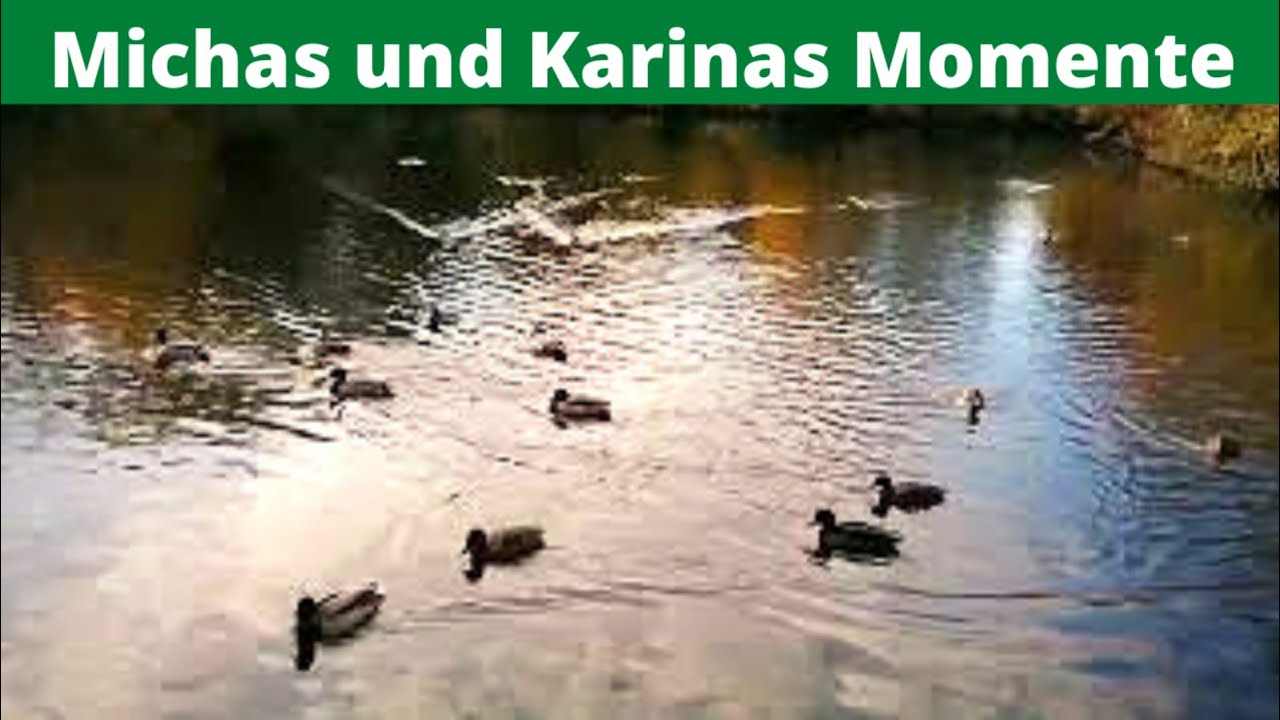 Autumn walk in the Biebertal with us in Menden in the beautiful ...