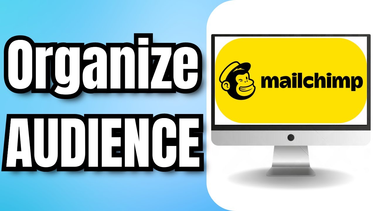 How to Organize MAILCHIMP AUDIENCE - YouTube