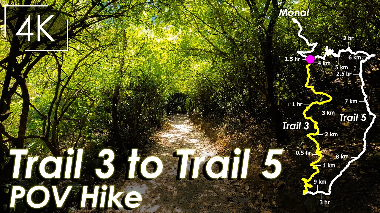 Trail 3 to Trail 5 Loop Hike with Live Map - POV Hike with No Music and ...