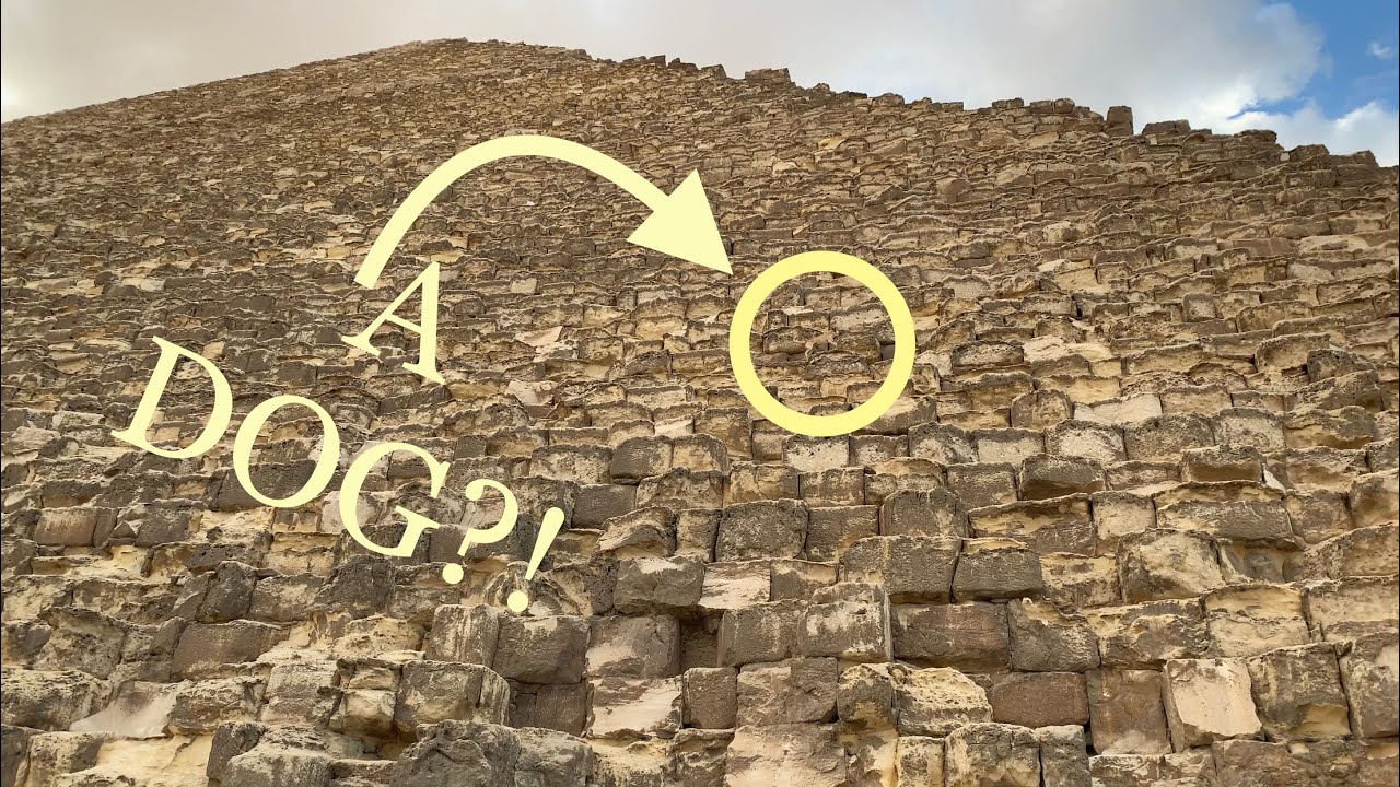 The dog runs on the pyramid of Cheops! - YouTube