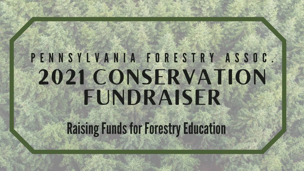 Pennsylvania Forestry Association Conservation Fundraiser - YouTube
