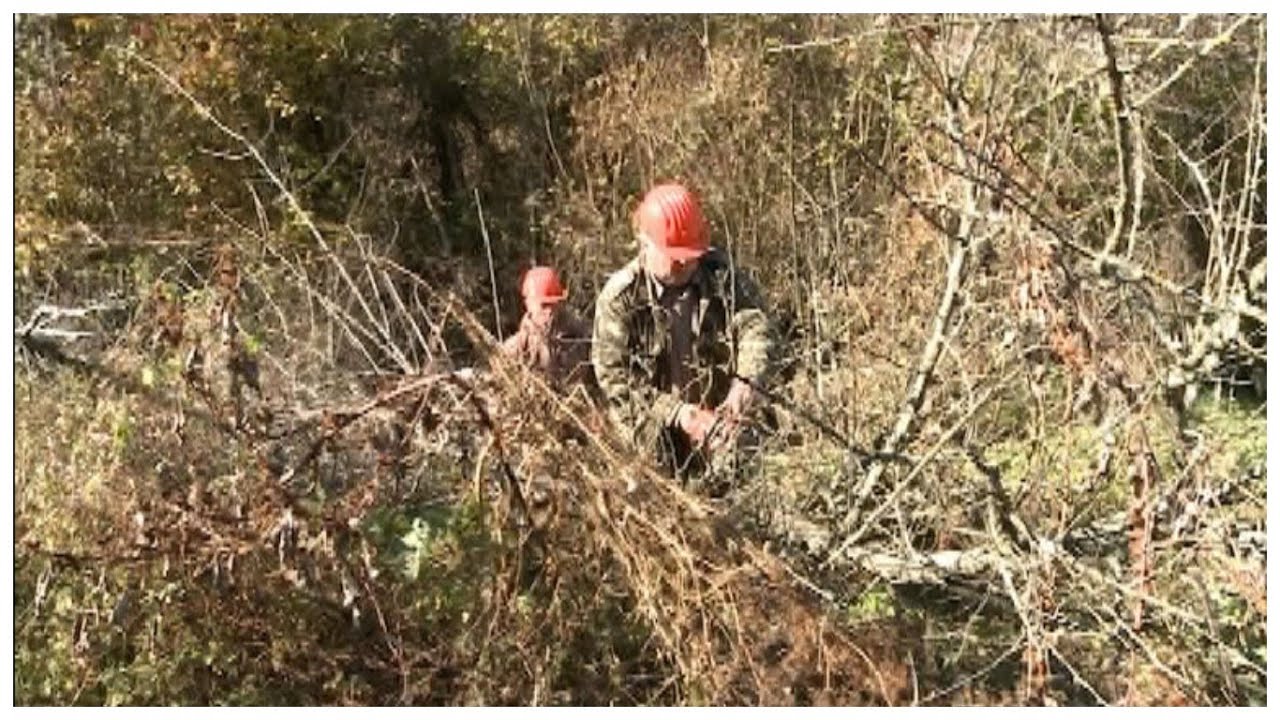 НОВОСТИ /21.09.22/ - YouTube