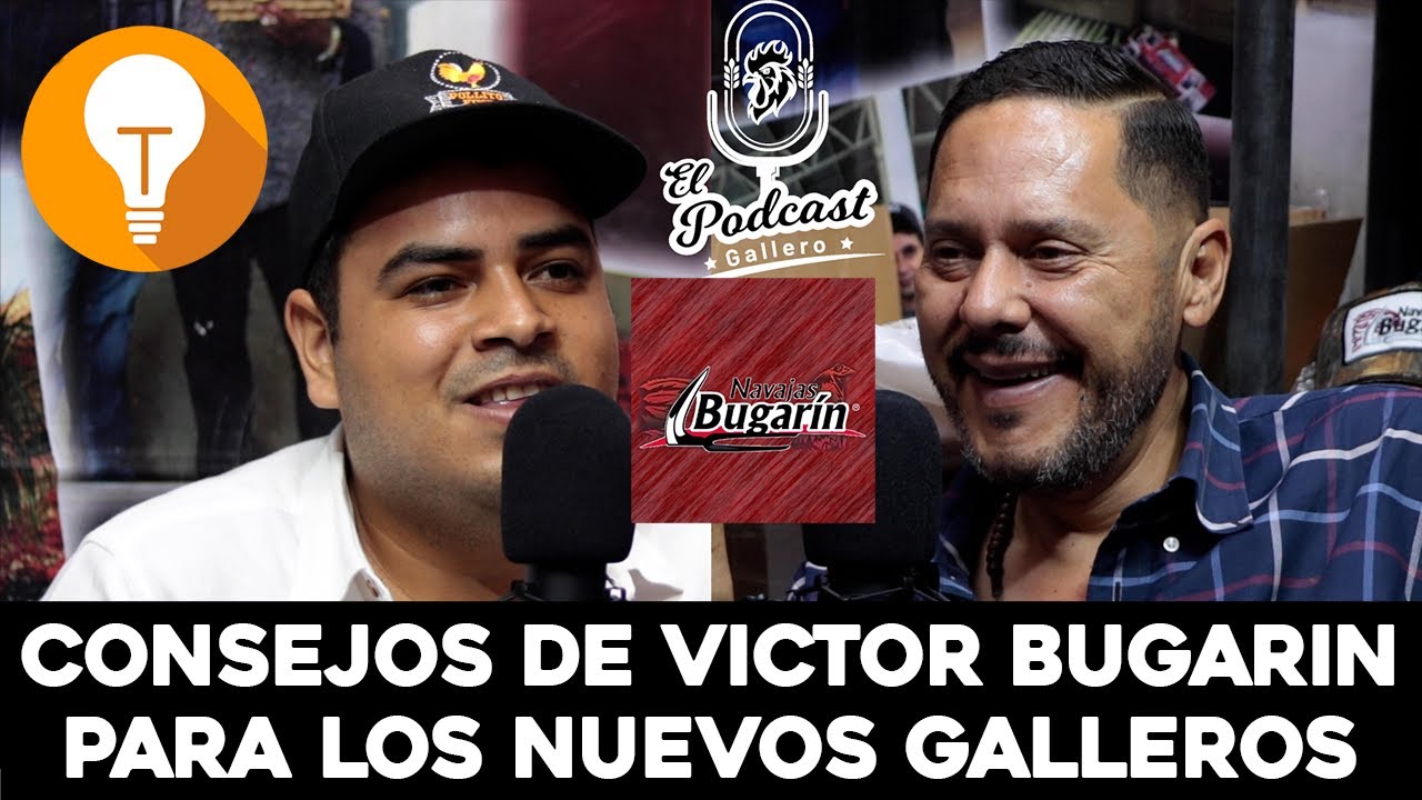 LOS CONSEJOS DE BUGARIN PARA GALLEROS PRINCIPIANTES - YouTube