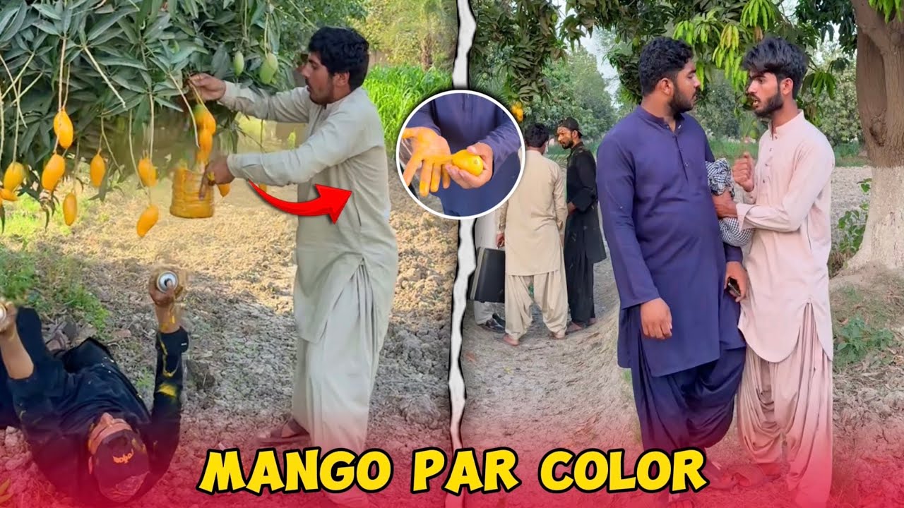Mango Par Color 😂Wait For Twist😡 - YouTube