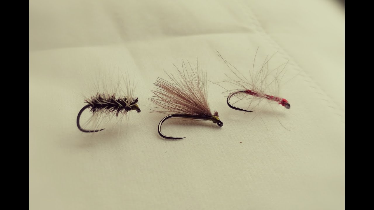 3 flies in 9 minutes - YouTube