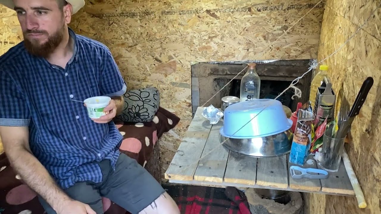 Isolated in Harsh Conditions: My Survival with Pets in a Deserted ...