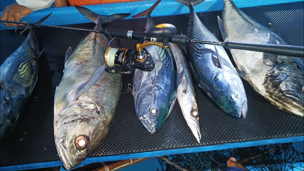 Strike bersama Daido Queen Sea - YouTube