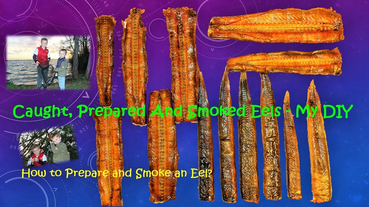 Caught, Prepared And Smoked Eels - My DIY - YouTube