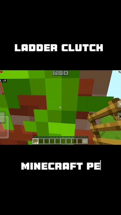 Minecraft ladder clutch...😅 - YouTube