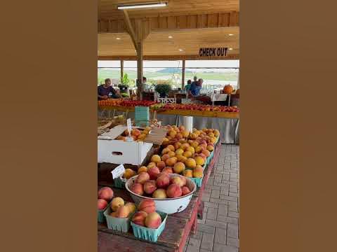 Свежие домашние овощи в Америке #сша #иммиграция - YouTube