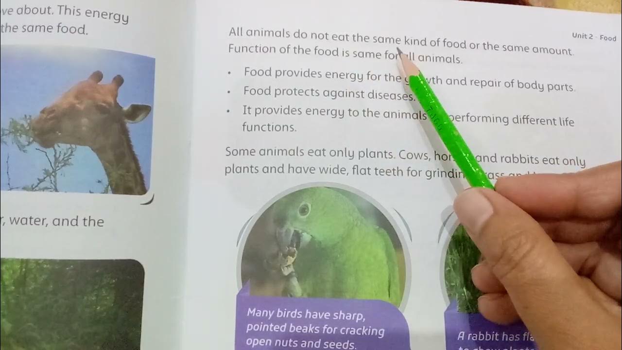 Oxford Supplementary Reading Material Understanding Stem Grade 3 Unit 2 ...