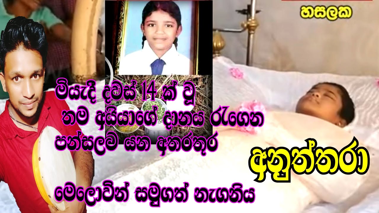 අලි පහරින් මියගිය අනුත්තරා Danu viridu 2022 new sinhala songs music ...