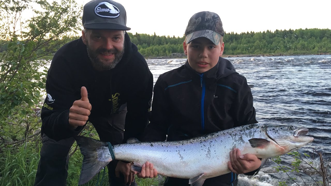 Kalakingi nappasi 10kg lohen - Lohenkalastus - Matkakoski - Tornionjoki ...